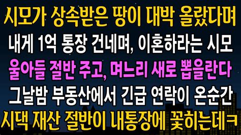 실화사연 시모가 상속받은 땅이 대박 올랐다며 내게 1억을 건내며 그만 아들집에서 나가라는 시모 그날밤 부동산에서 긴급한 연락이 오자 시댁이 발칵 뒤집히는데ㅋ