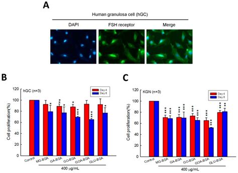 Dietary Glycotoxins Advanced Glycation End Products Inhibit Cell