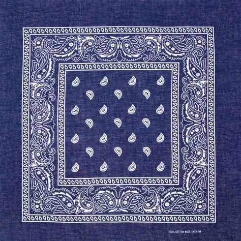 Blue Paisley Bandana