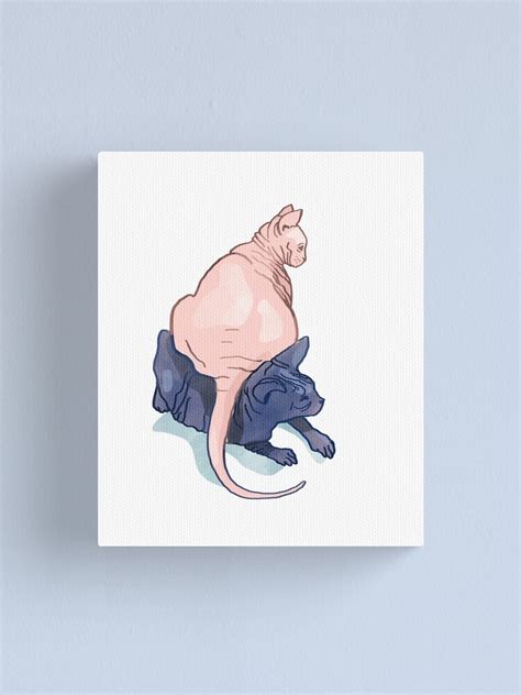 Lienzo Divertidos Gatos Sphynx Gato Desnudo Sentado Sobre Otro Gatito Arrugado B Jate De Mi