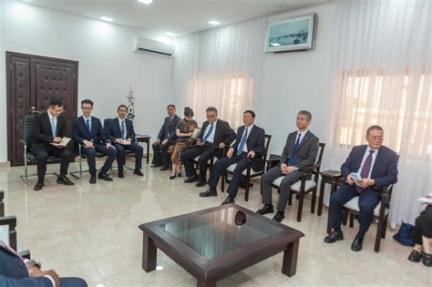 Le Ministre M Modeste Tihounté Kerekou A Reçu En Audience Lhonorable Luo Hongjiang Vice