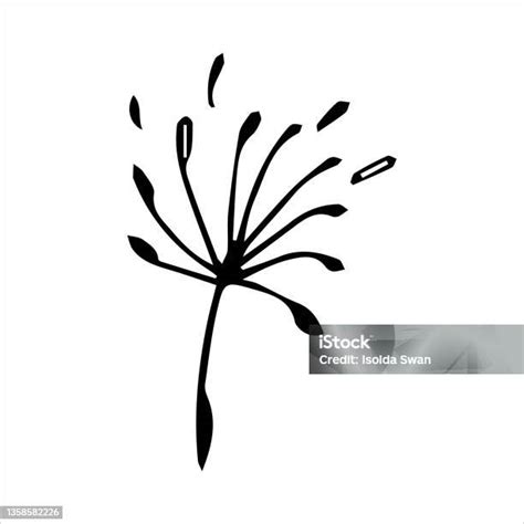 낙서 또는 스케치 엽서 카드 포스터의 디자인의 스타일로 손으로 그린 꽃과 민들레 씨앗 벡터 그래픽 검은색에 대한 스톡 벡터 아트 및 기타 이미지 Istock
