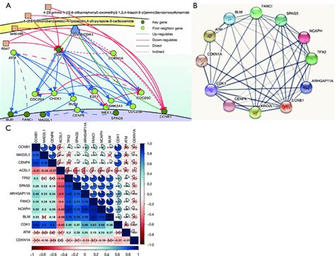Protein Interaction Network A The Causal Interactions In The Key Download Scientific Diagram