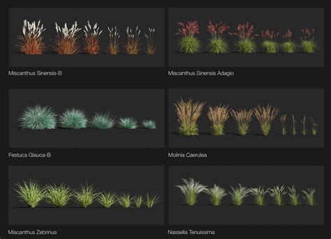 Grass Scapes For Blender Blender Market