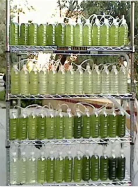 An Algae Bioreactor From Recycled Water Bottles 7 Steps With