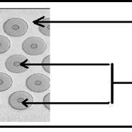 Steps For Making Composite Material Download Scientific Diagram