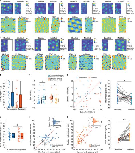 Environmental Perturbation Distorts Grid Spacing A Firing Rate Maps