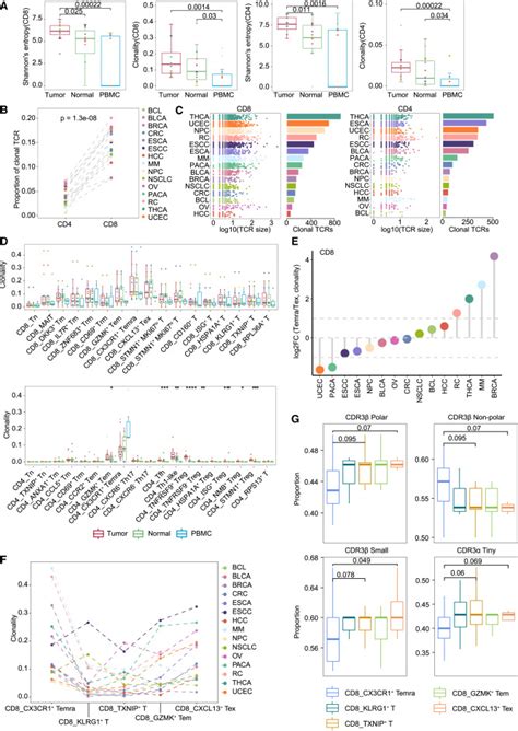 Identification Of Shared Characteristics In Tumor Infiltrating T Cells Across 15 Cancers
