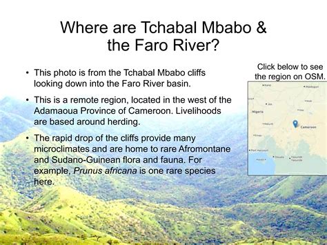 Watershed Delineation Using Arcmap Pptx