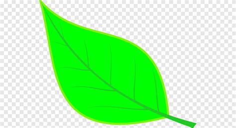 Leaf Line Angle Leaf Angle Leaf Png Pngegg