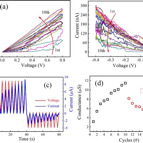 A The Diagram Of Ppf Phenomenon In A Biological Synapse B The Ppf Download Scientific