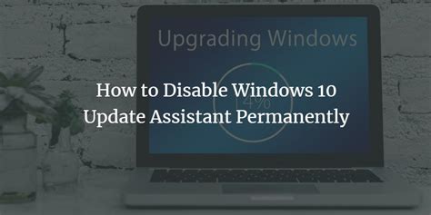Amalia Heras How To Stop Windows 10 Update Assistant From Downloading