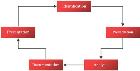 Figure 1 From A Detailed Analysis Of Image Forgery Detection Techniques And Tools Semantic Scholar