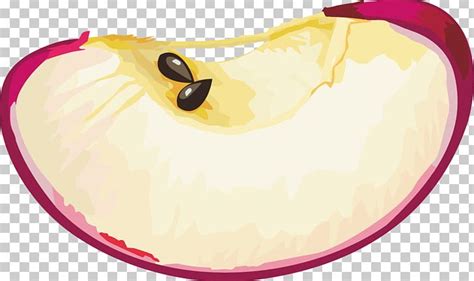 Apple CorelDRAW PNG Clipart Apple Computer Icons Computer Software Coreldraw Food Free PNG