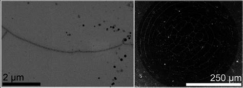 Cracking Of The Composite Membrane Sem Micrographs Of Cracks In A Download Scientific Diagram