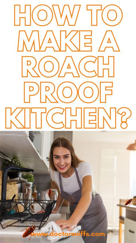 How To Make A Roach Proof Kitchen Deep Clean Kitchen Airtight Food Storage Cleaning Spills