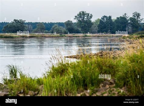 General View Of The Oder River In Pomorsko The Oder Is A River In