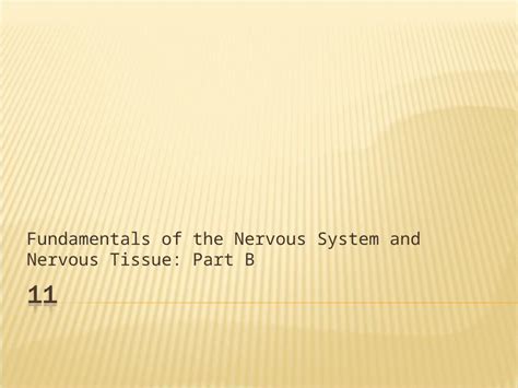 PPT Fundamentals Of The Nervous System And Nervous Tissue Part B DOKUMEN TIPS