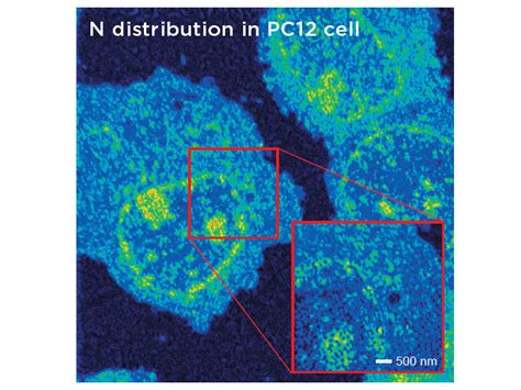 Cameca Nanosims Hr The Next Frontier In Nanoanalysis For Science