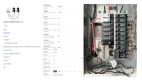 Tuya Ct Zigbee Energy Meter Paired With Ha But Showing Power Readings Of 0 Zigbee Home