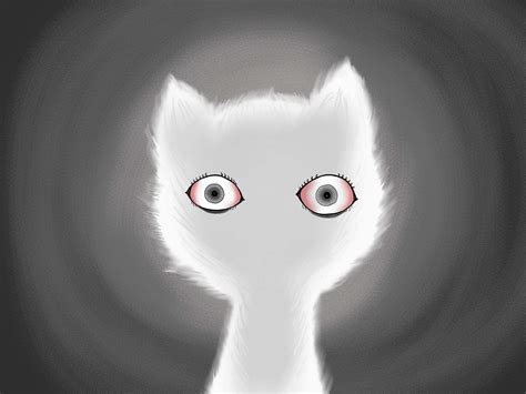 Kitty SCP 040 Jp SCP Foundation Amino