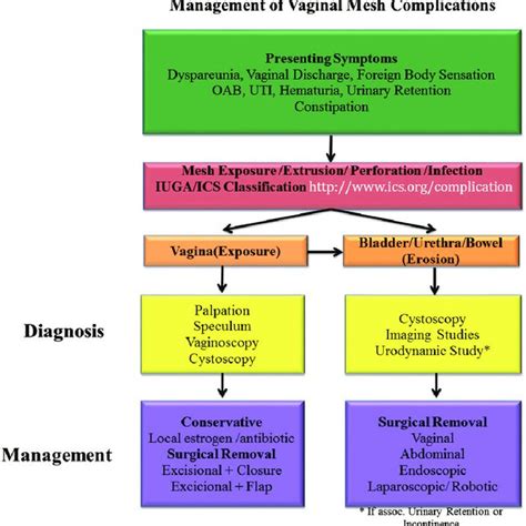 pdf algorithm for management of vaginal mesh exposure