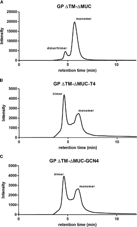 Frontiers Designs And Characterization Of Subunit Ebola Gp Vaccine