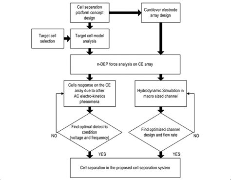 Flow Diagram For The Development Of The Cell Separation System With Download Scientific Diagram