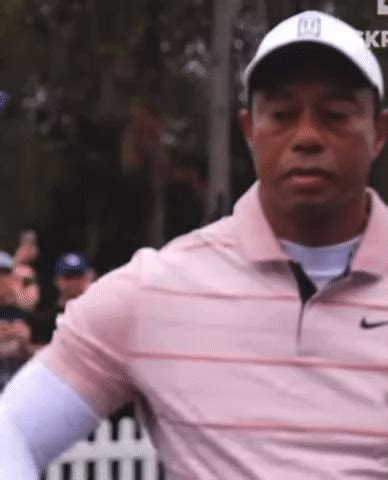 Tiger Woods Funny Meme