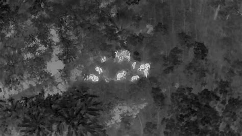 Infrared Radiation Camera Drone Drone Association Thailand