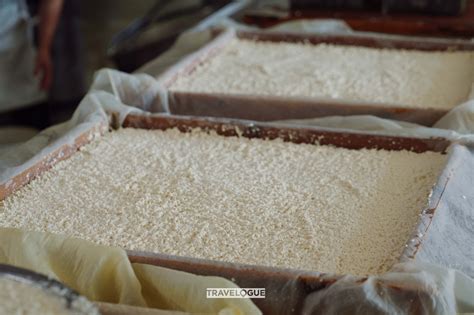 Behold Hairy Tofu A Flavorful Surprise From Anhui Cgtn