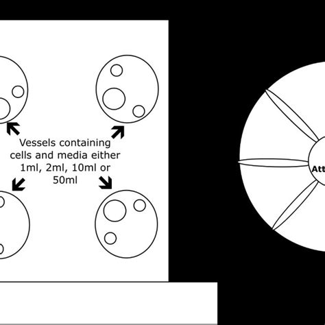 A Schematic Of How The Random Positioning Machine Rpm Simulates