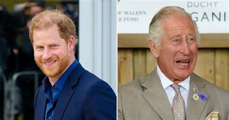 Prince Harry' Emotional Visit to Ailing King Charles Sparks Royal ...