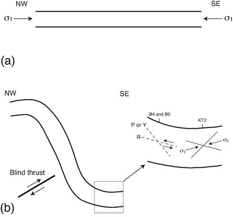 Schematic Diagram Showing A Model Of Development Of The Flexure And