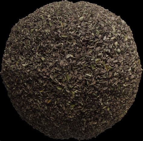 25 Free Forest 3d Models