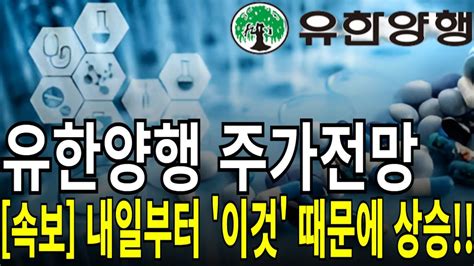 유한양행 주가전망 속보 내일부터 이것 때문에 상승 Feat디에스경제연구소 케빈 Youtube