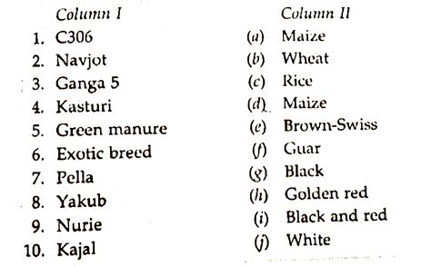 Single Matching Match The Articles Given In Column I And Column Ii