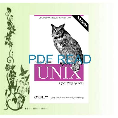 Artstation Read Now Epub Learning The Unix Operating System Ebook By