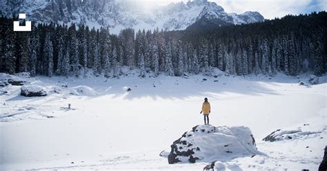Foto Zum Thema 숲과 산맥 근처에 눈이 쌓인 선반에 서 있는 사람 Kostenloses Bild Zu Berg Auf Unsplash