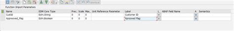 Function Import In Sap Odata Service