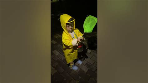 개구리로변신하는개미 Youtube