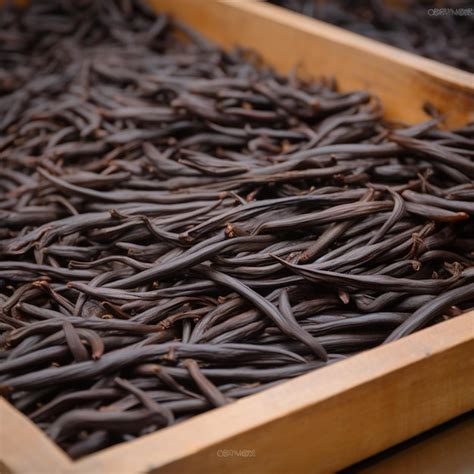 Premium Ai Image Vanilla Dry Fruit Vanilla Bean Pod In The Curing