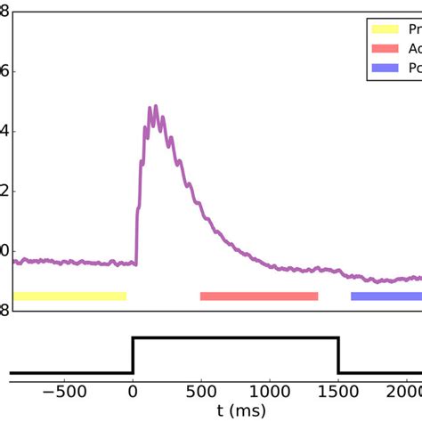 short term plasticity of the synapses between excitatory neurons in