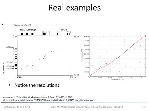 Ppt Lecture 3 Heuristic Sequence Alignment Powerpoint Presentation