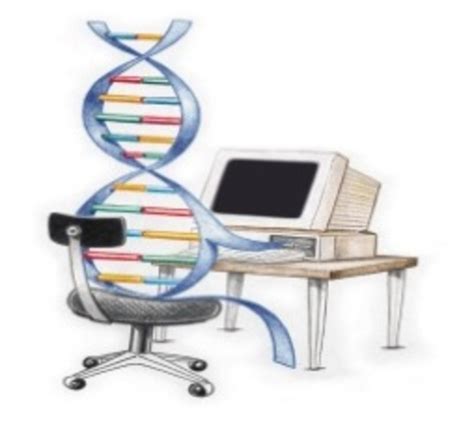 Nature Inspired Computation Timeline Timetoast Timelines