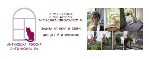 Антикошка : защита на окна для детей и животных! | ВКонтакте