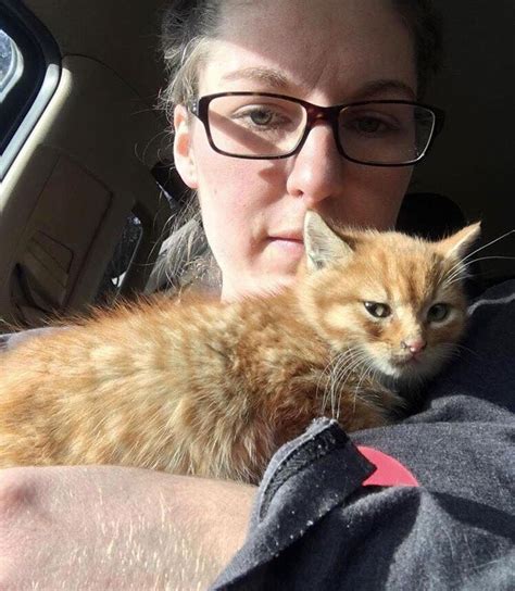 Hissy Kitten Gets His First Cuddle From Rescuer And Realizes He Cant