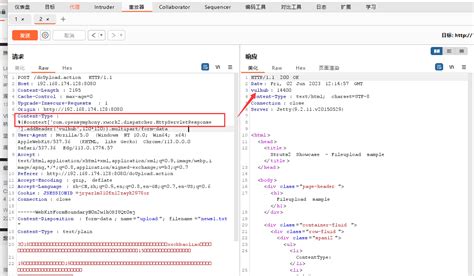 Struts2漏洞 Αιώνιος