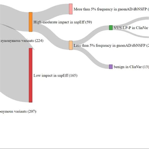 Flow Chart Describing The Variant Filtering And Evaluation Process The Download Scientific
