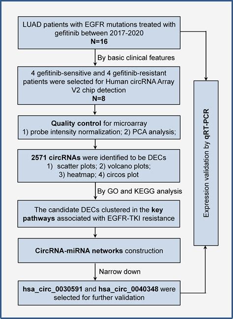 Comprehensive Analysis Of Circular RNA Expression Profiles In Gefitinib Resistant Lung